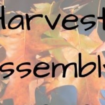 The Federation Of Burley and Sopley Primary Schools - Latest News